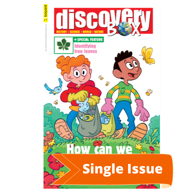 DiscoveryBox ( one-issue sampler ) - Bayard Singapore